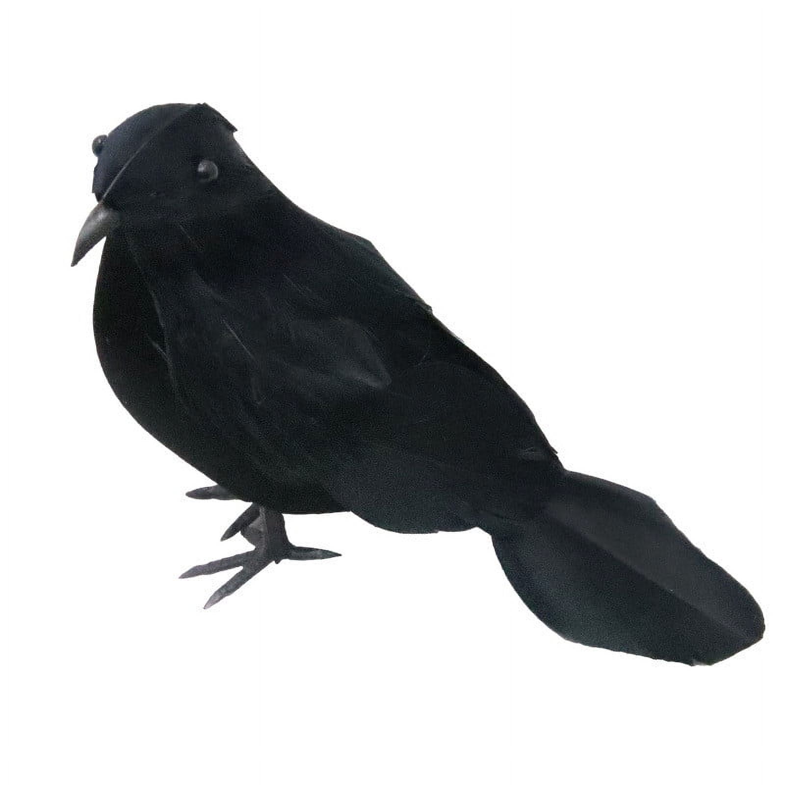 Sokhug Feathered Black Crow Lifesize Large Realistic Flying Crow 12Inch ...