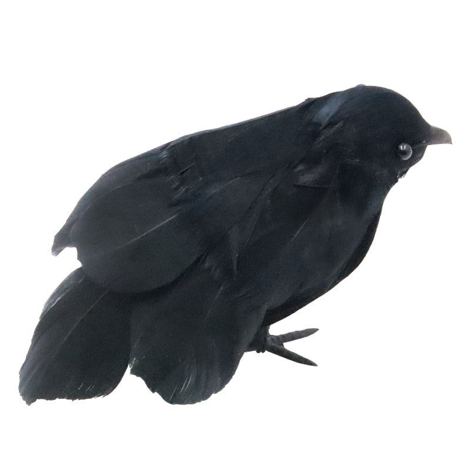 Sokhug Feathered Black Crow Lifesize Large Realistic Flying Crow 12Inch ...