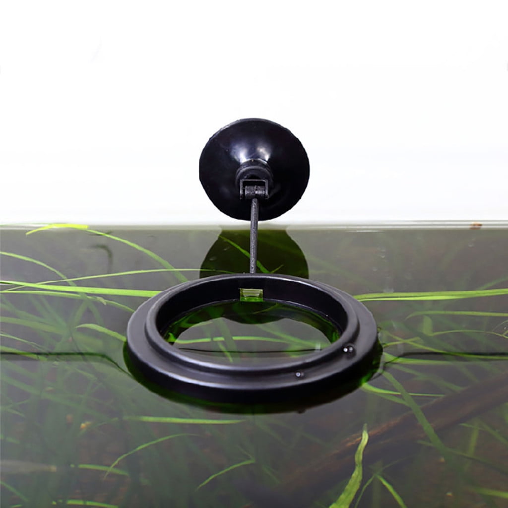 Sokhug Fish Feeding Ring Aquarium Square Floating Fish Food Feeder ...