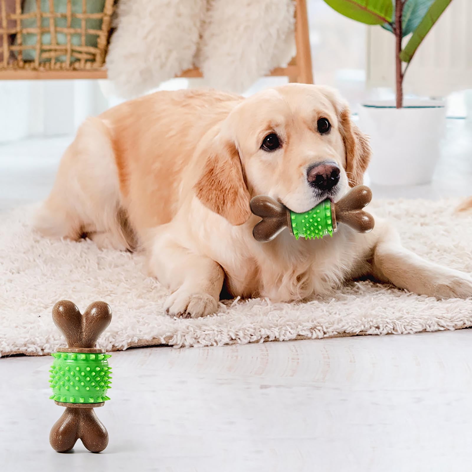 Sokhug Pet Dog Puppy Cat Chewing Toys Natural Wood Clean Teeth Healthy ...