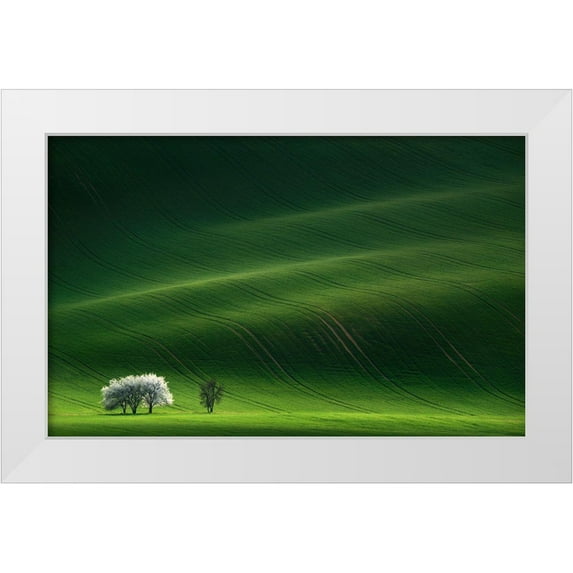 Sokolovsky, Vlad 18x13 White Modern Wood Framed Museum Art Print Titled ...