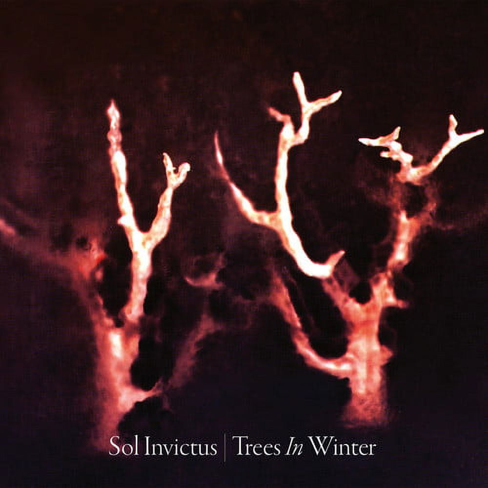 Sol Invictus - Trees In Winter - Music & Performance - CD - Walmart.com