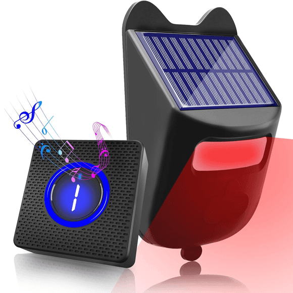 Motion Sensor Alarms