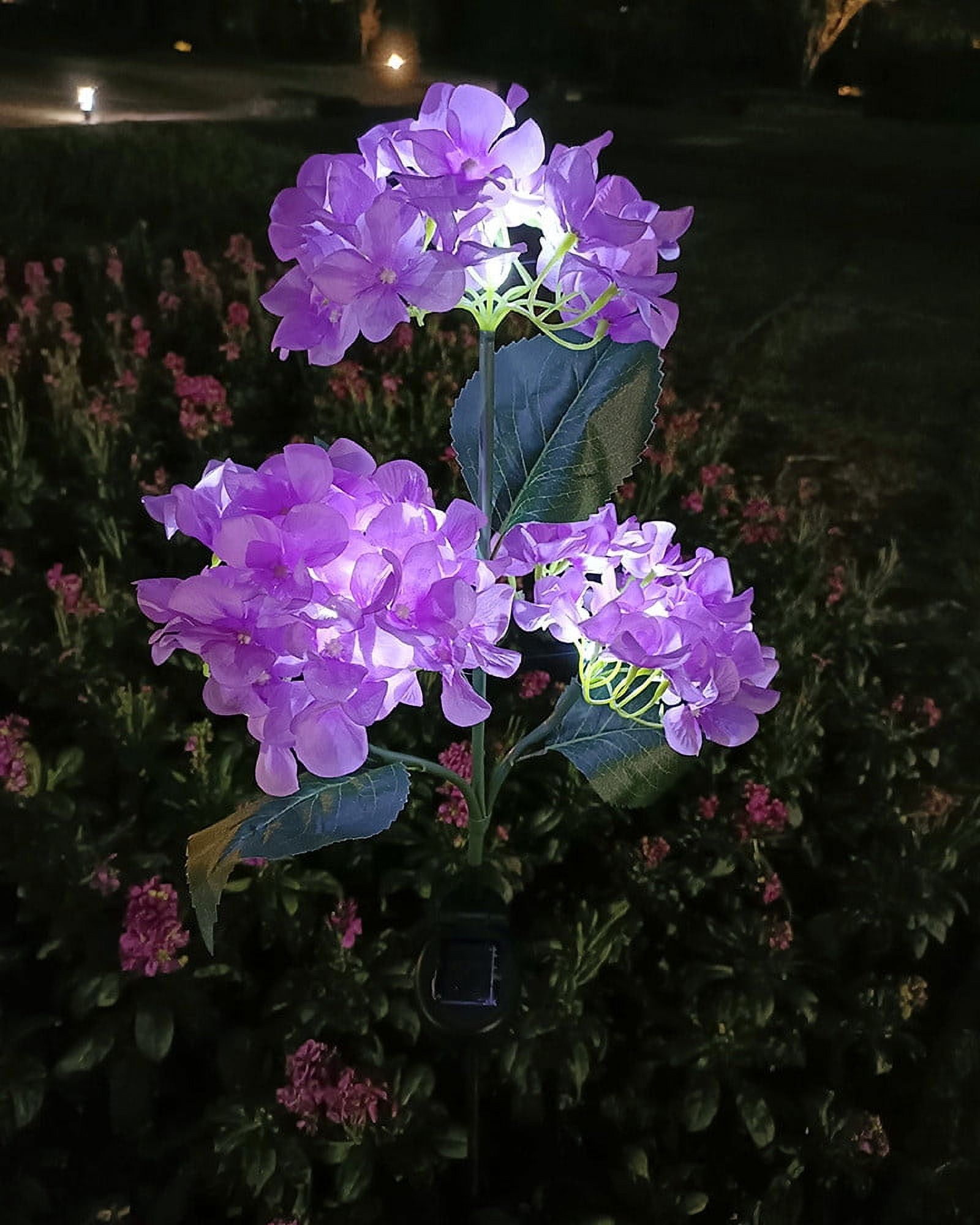 Solar Hydrangea Flower Lights for Outdoor Lawn, Solar Hydrangea Lights ...