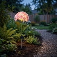Solar Hydrangea Garden Lights Outdoor 9.84in, Waterproof LED Flower ...