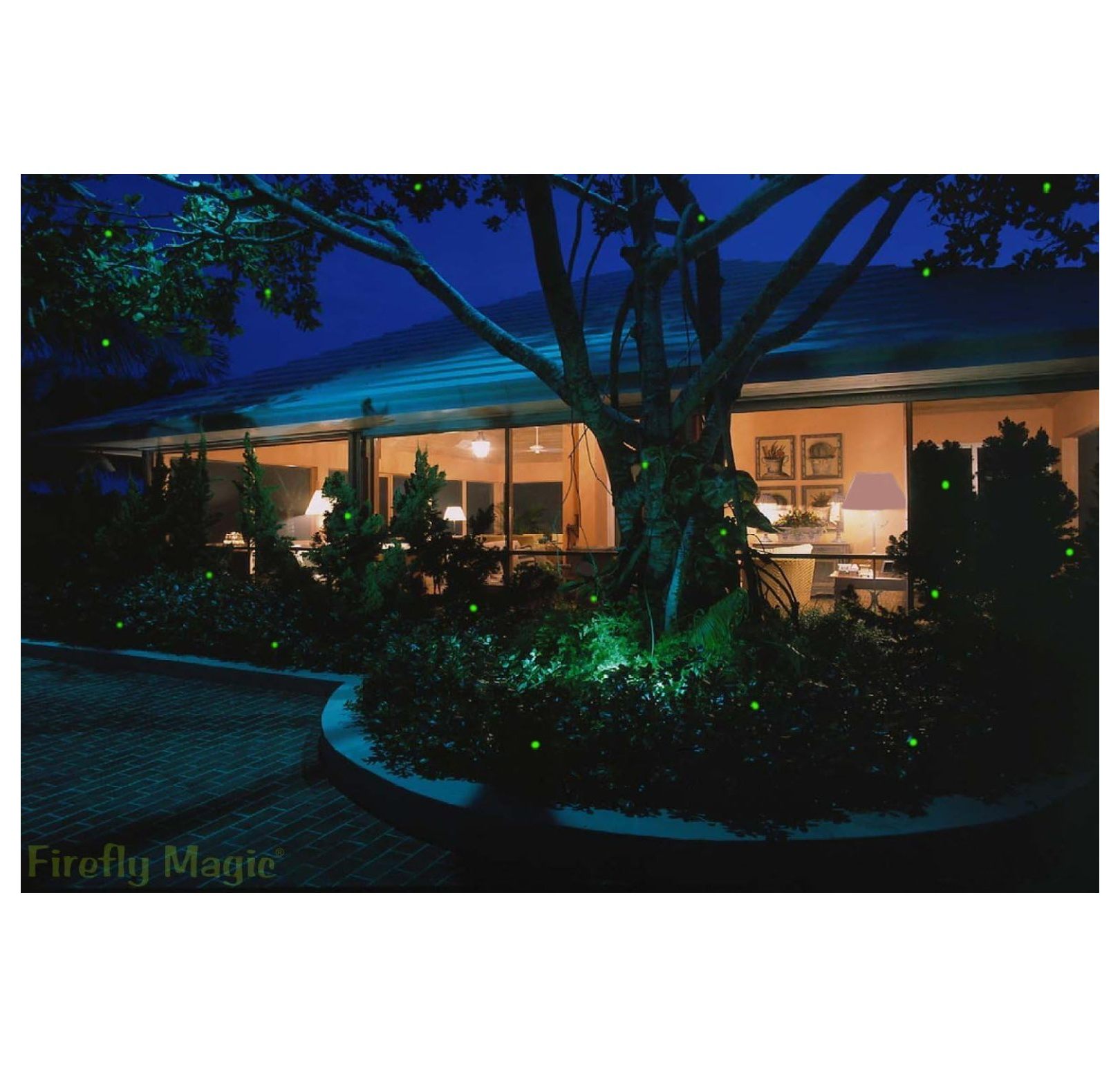 Solar LED Fairy, Lightning Bug Lights…Patented to Naturally Mimic Real ...