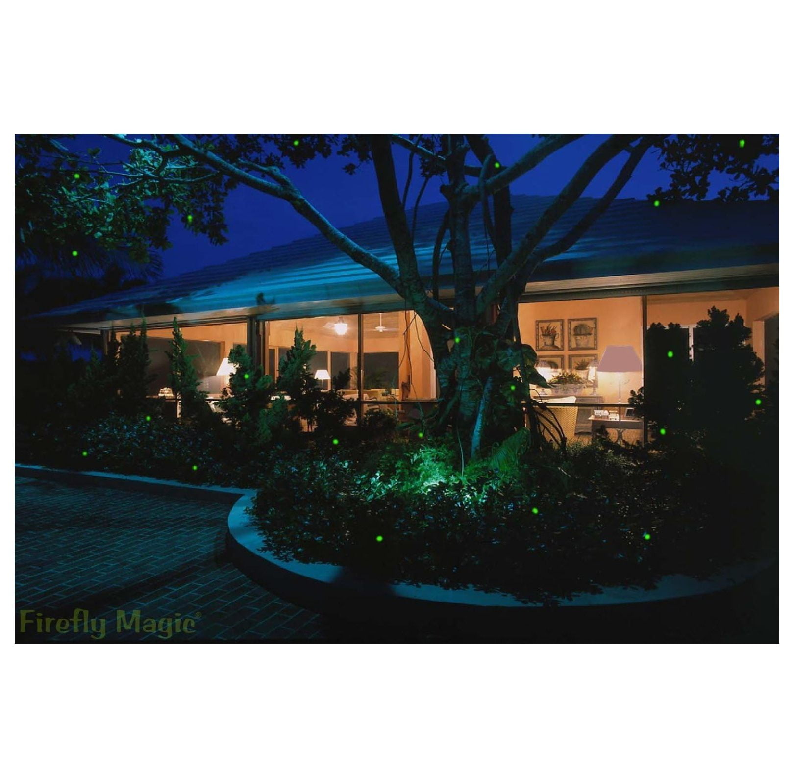 Solar LED Fairy, Lightning Bug Lights…Patented to Naturally Mimic Real ...