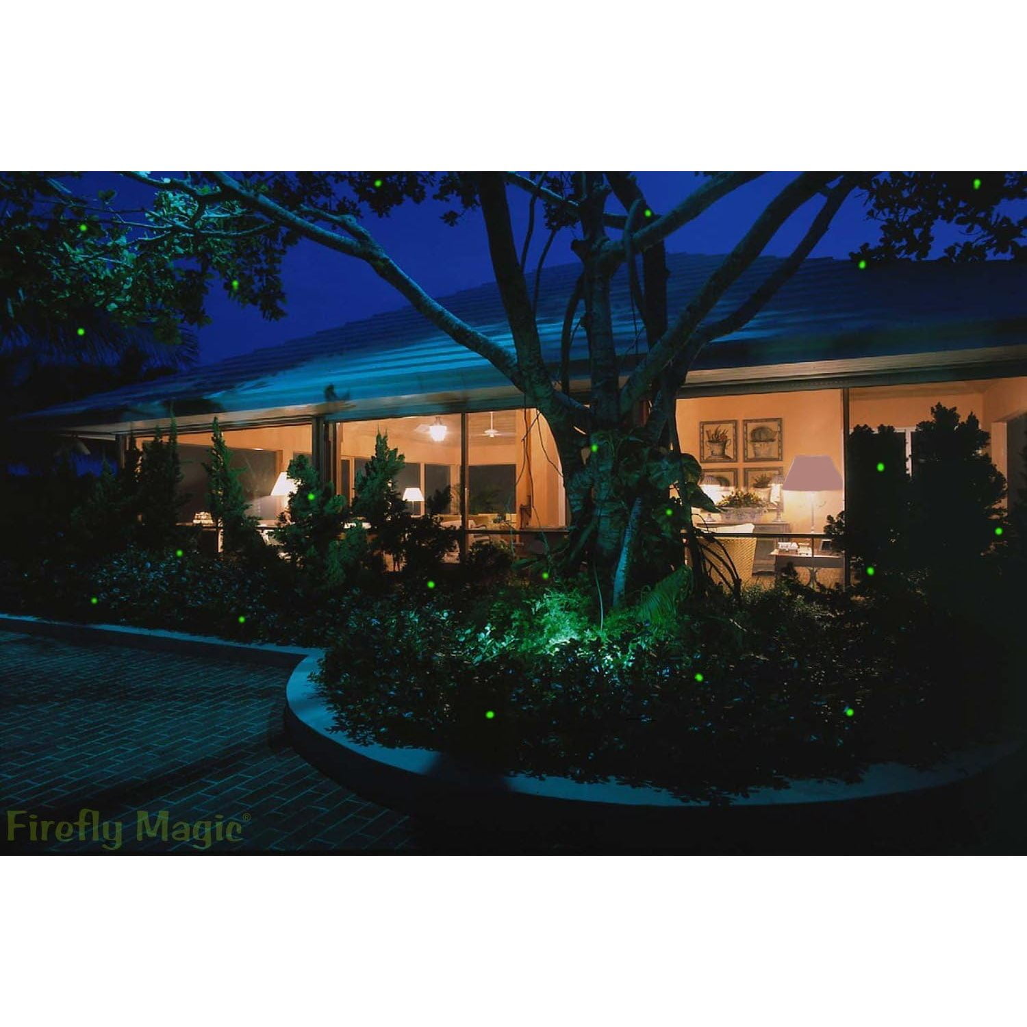 Solar LED Fairy, Lightning Bug Lights…Patented to Naturally Mimic Real ...