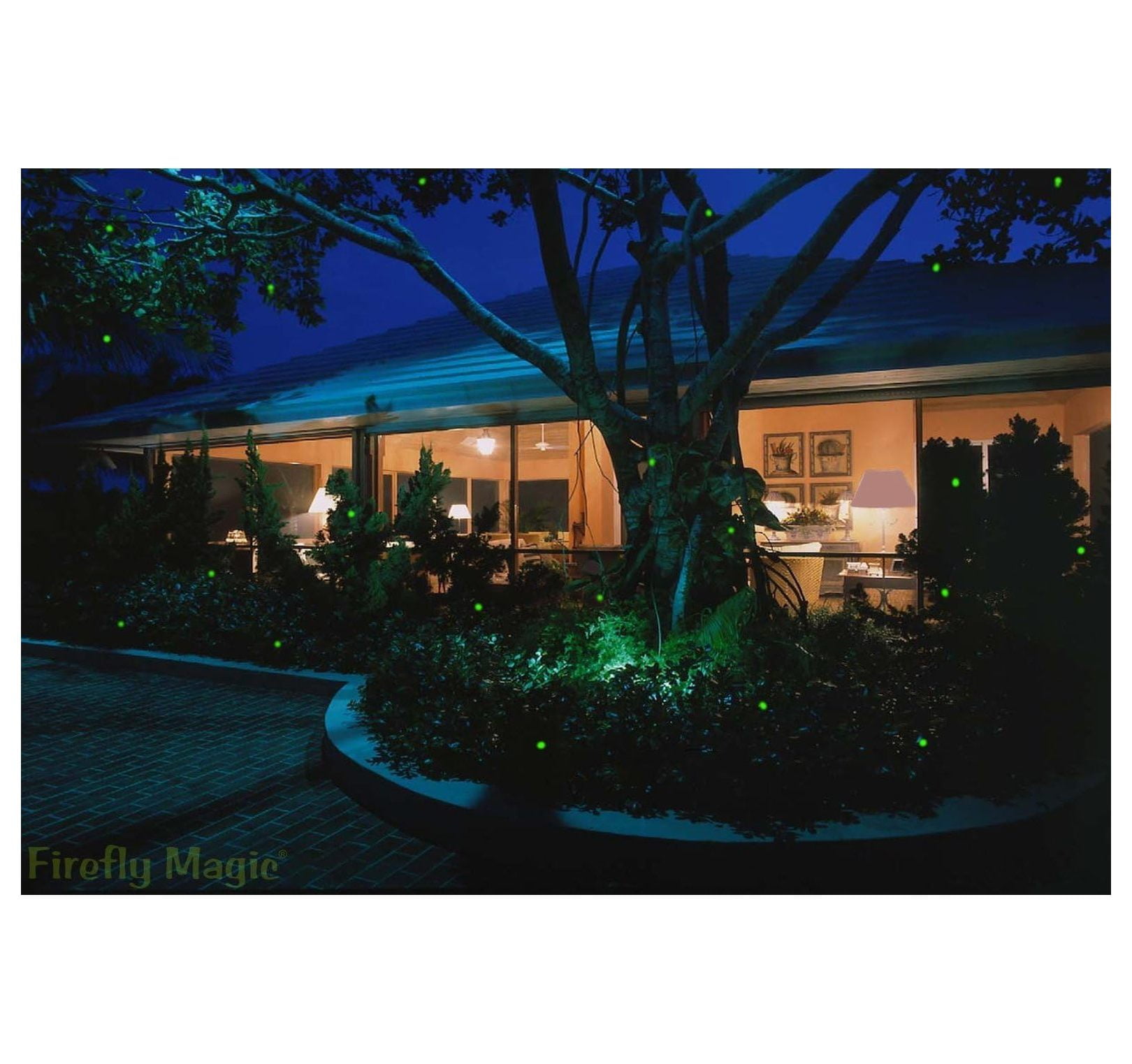 Solar LED Fairy, Lightning Bug Lights…Patented to Naturally Mimic Real ...