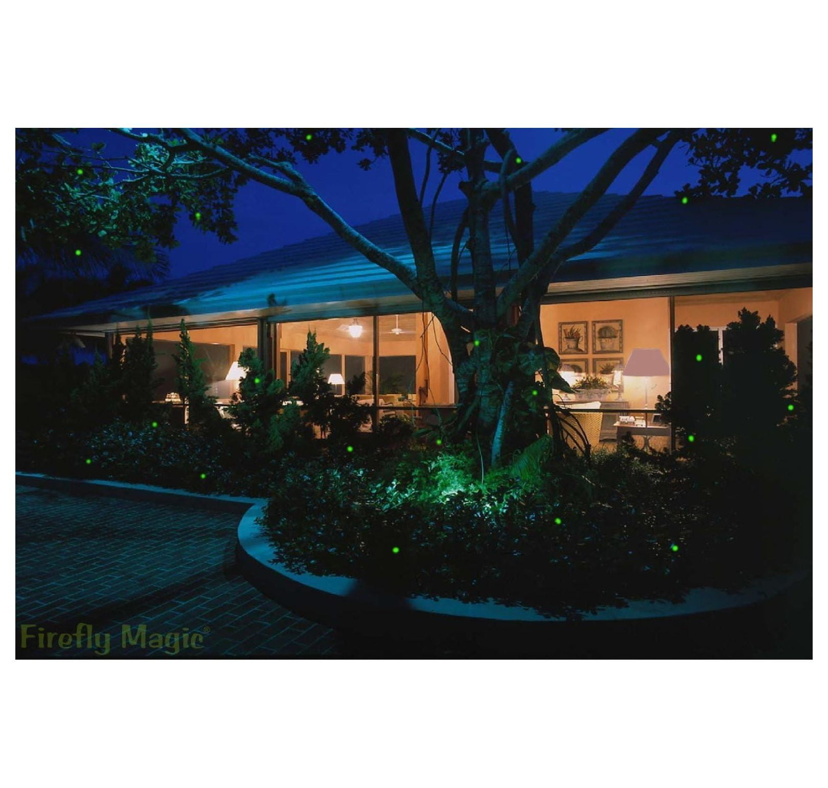 Solar LED Fairy, Lightning Bug Lights…Patented to Naturally Mimic Real ...