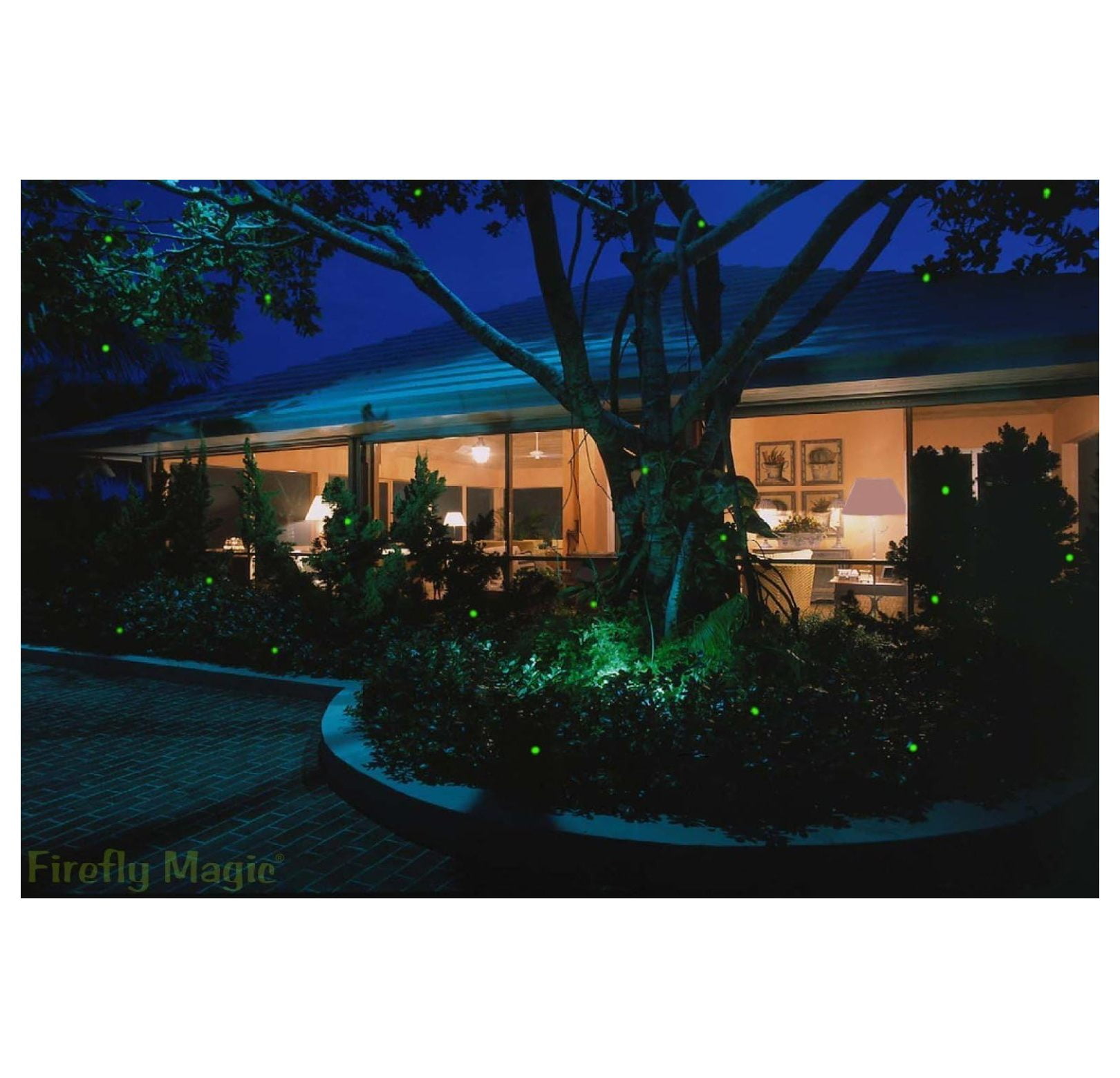 Solar LED Fairy, Lightning Bug Lights…Patented to Naturally Mimic Real ...