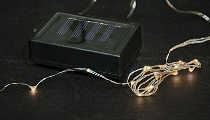 Solar Light Strand - 20 Lights - Walmart.com