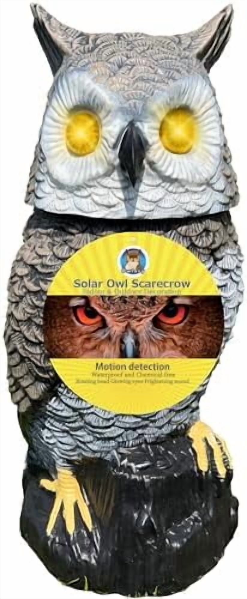 Solar Owl with Flashing Eyes, Rotating Head and Realistic Tweets ...