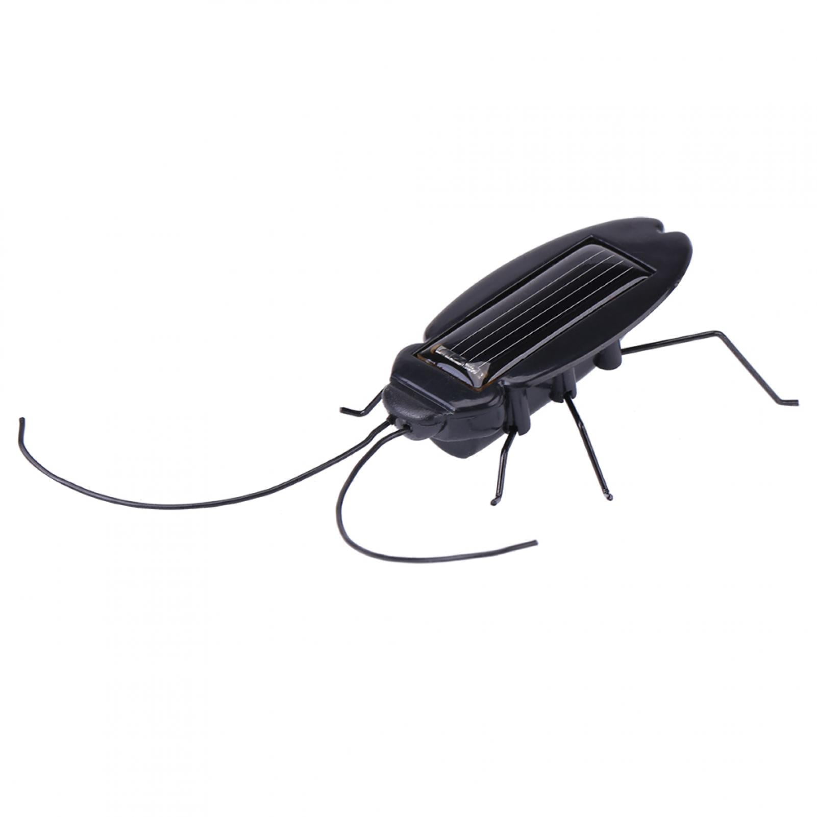 Solar Powered Cockroach Toy, Educational Insect Kid Toy Gift, Mini ...