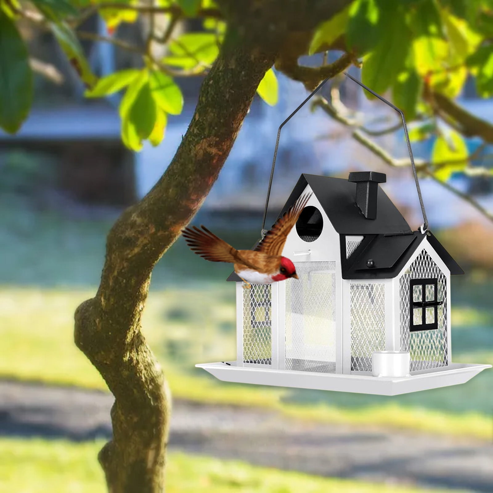 Solar-Powered Hummingbird Feeder, Stainless Steel Construction, LED ...