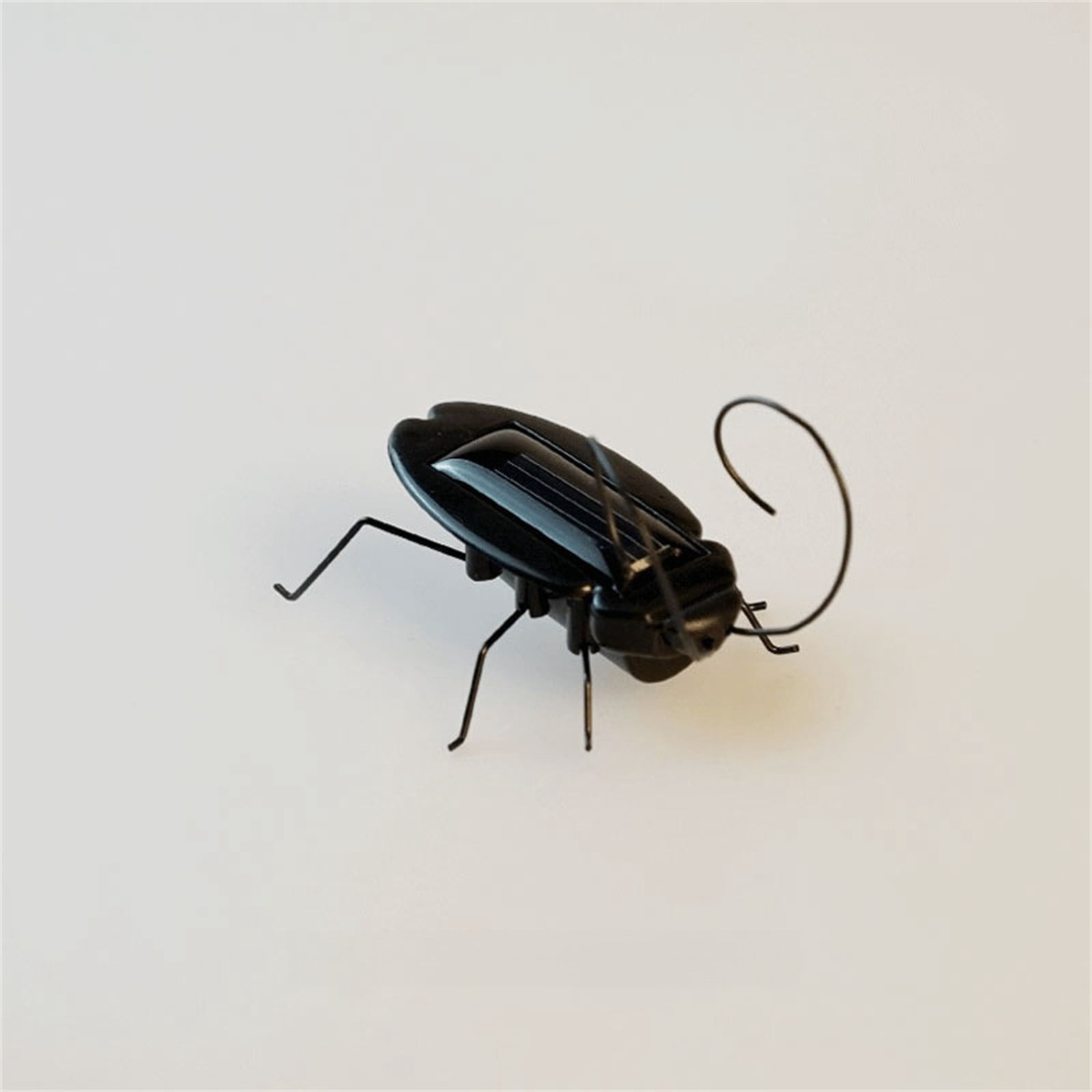 Solar Powered Micro Cockroach Toy Educational Model This Quirky Solar ...