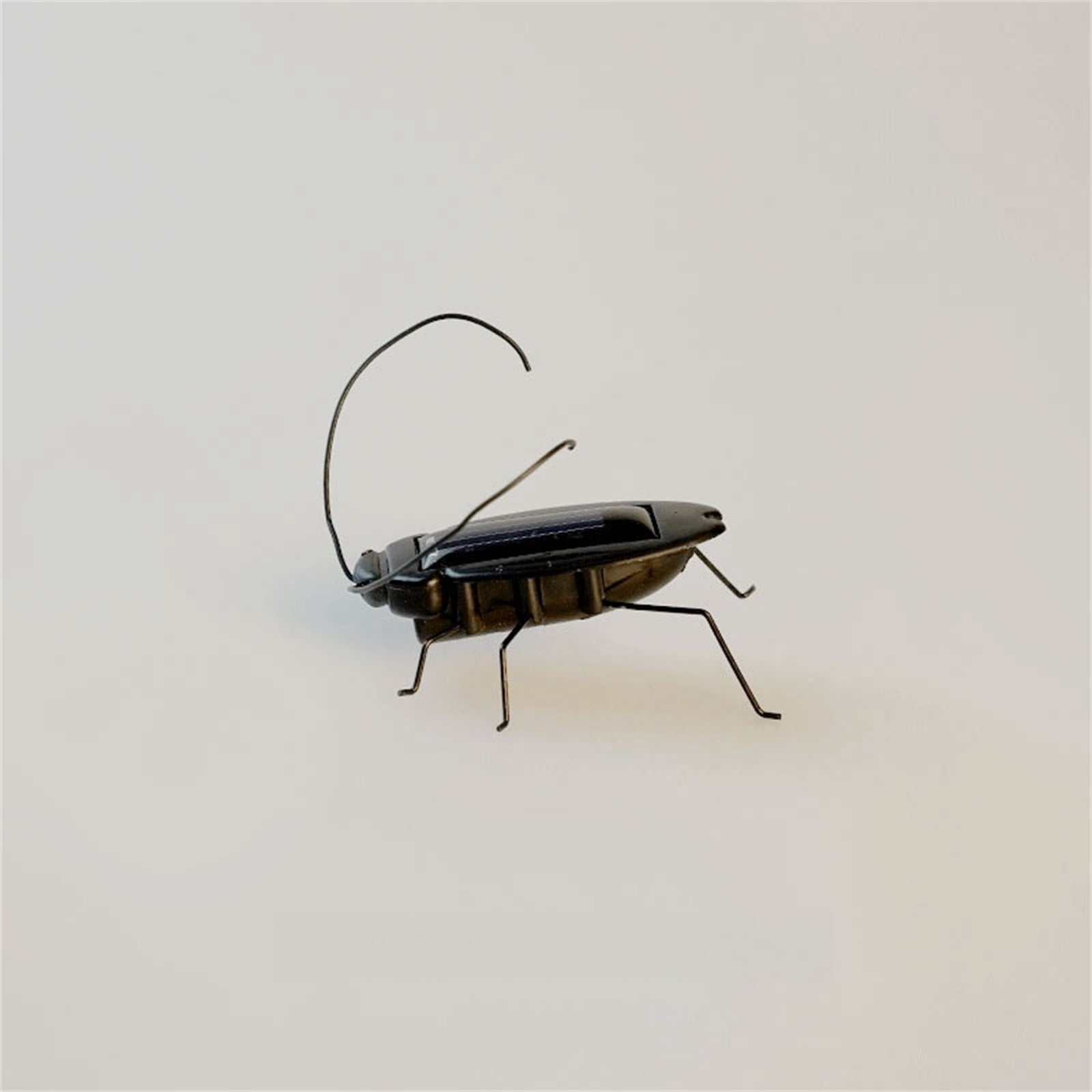 Solar Powered Micro Cockroach Toy Educational Model This Quirky Solar ...