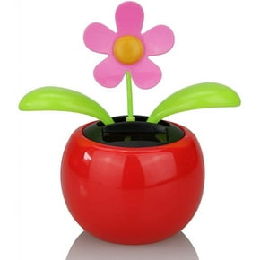 Solar Dancing Flowers