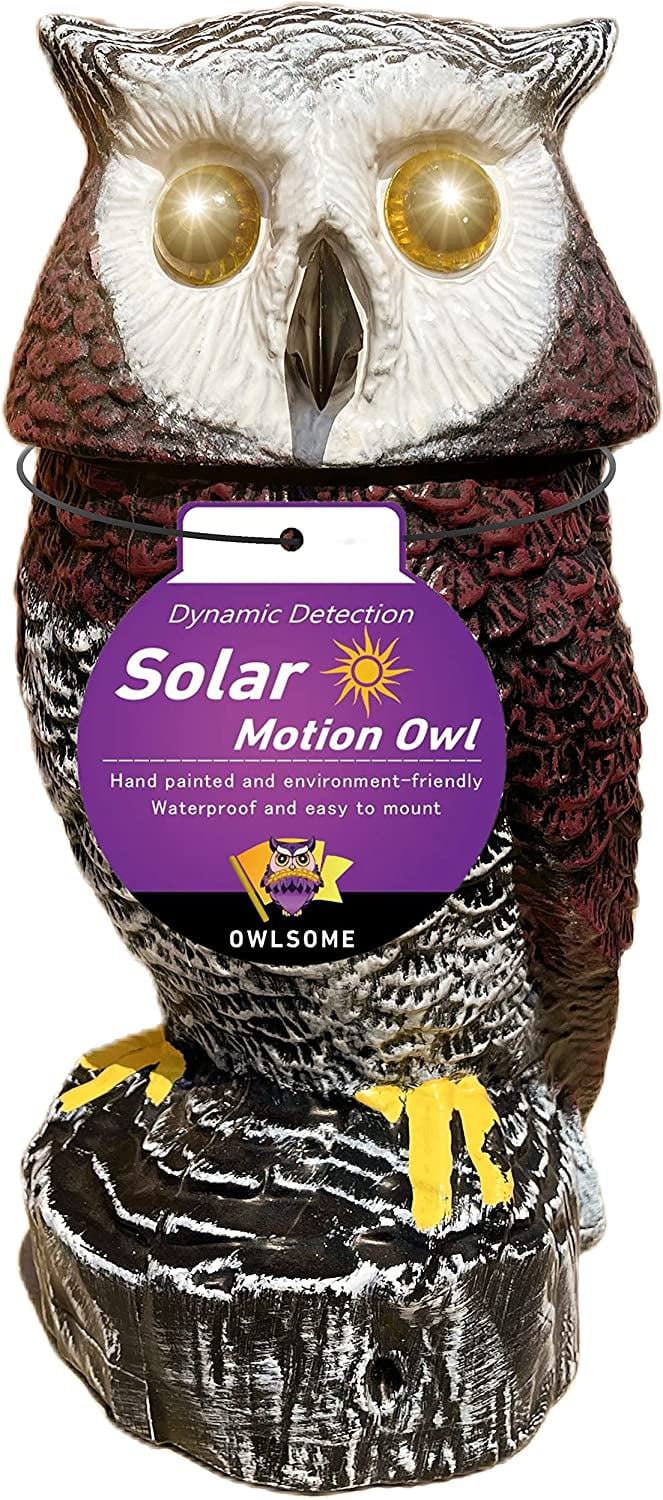 Solar Red Owl with Flashing Eyes, Rotating Head, Hooting, Motion ...
