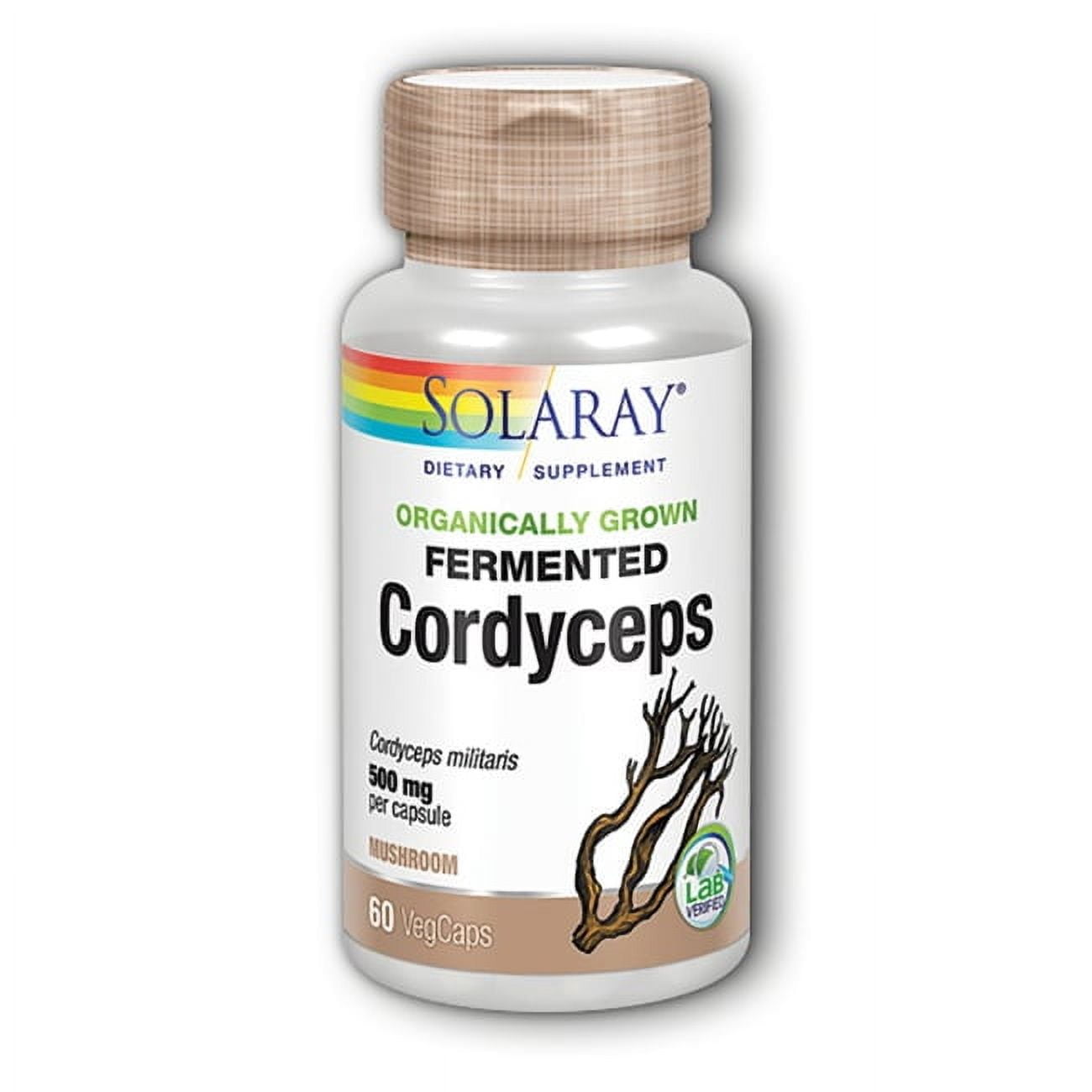 Solaray Fermented Cordyceps Mushroom 500 mg | Healthy Heart Function ...