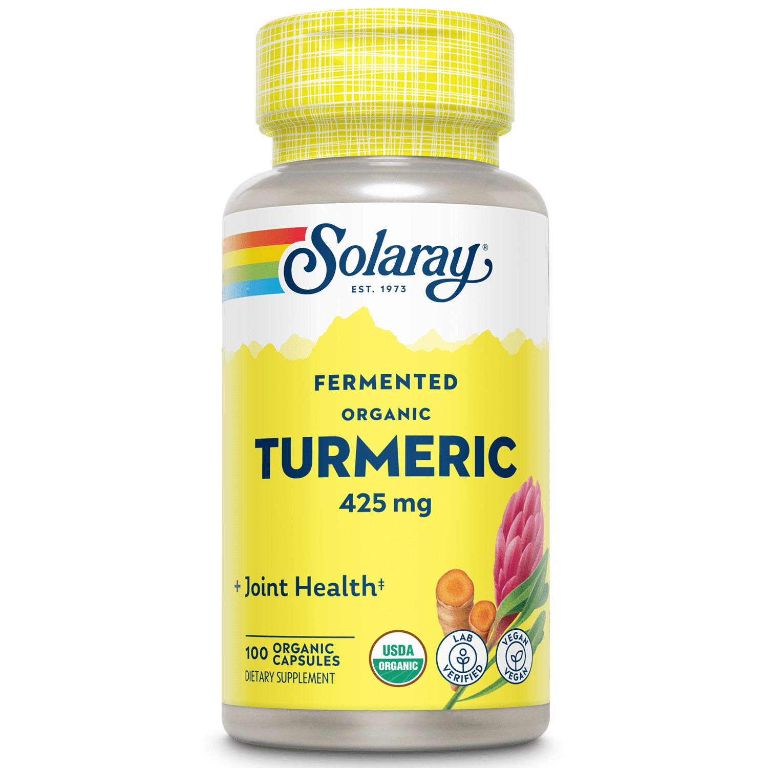 Solaray Fermented Turmeric Root Supplement | 500mg, 100 VegCaps ...