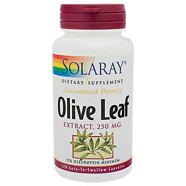 Solaray Bacopa Leaf Extract 100 mg - 60 Capsules - Walmart.com