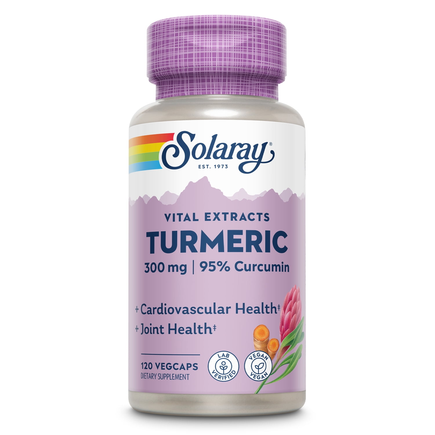 Solaray Turmeric Root Extract 300mg Capsules, Curcumin 95%, Joint ...