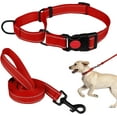 Solennerer Dog Collar Dog Leash Sets Heavy Duty Pet Leash Lead Rope for ...