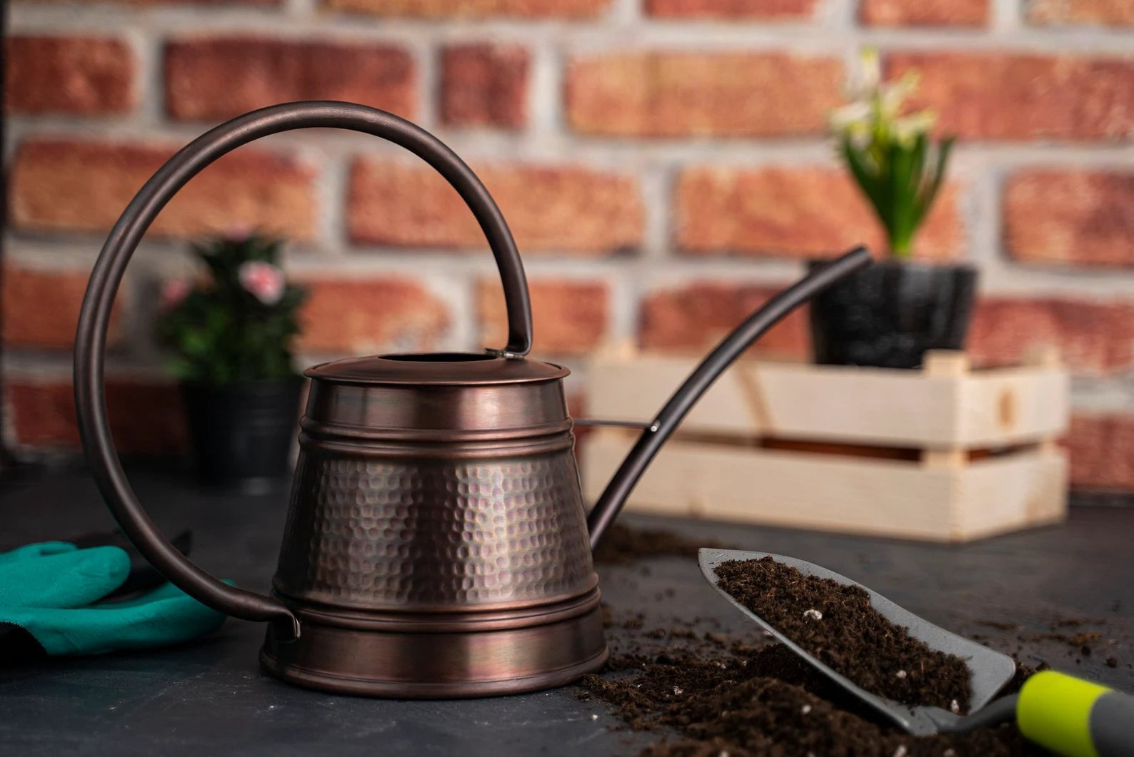 Solid Copper Watering Can for Garden | Handmade Copper Planter Vessel ...