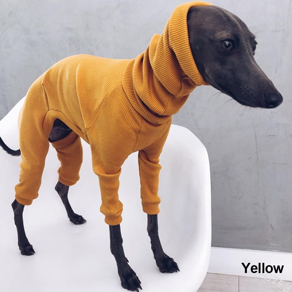 Solid Four-legged Rib Dog Clothes Turtleneck Pet Sweater for Whippet ...