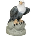 Solid Rock Stoneworks Bald Eagle Concrete Statue, 20" Tall, Life Like Color - Walmart.com