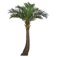 Solid Storage Supplies Tropical 11.5 ft. Coconut Palm Tree in Green ...