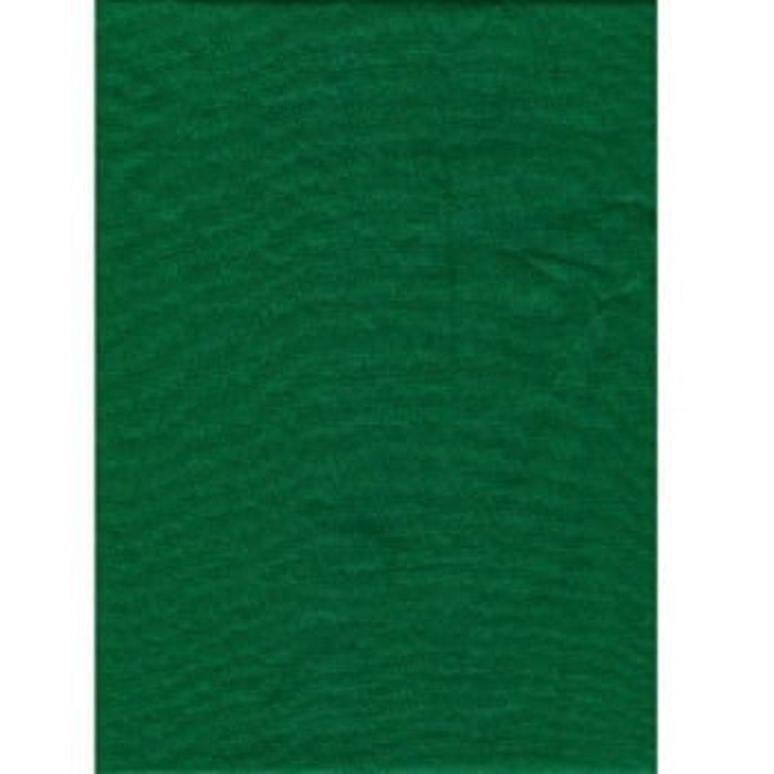 Solid Studio Backdrop 10' x 12' Chromakey Green - Walmart.com
