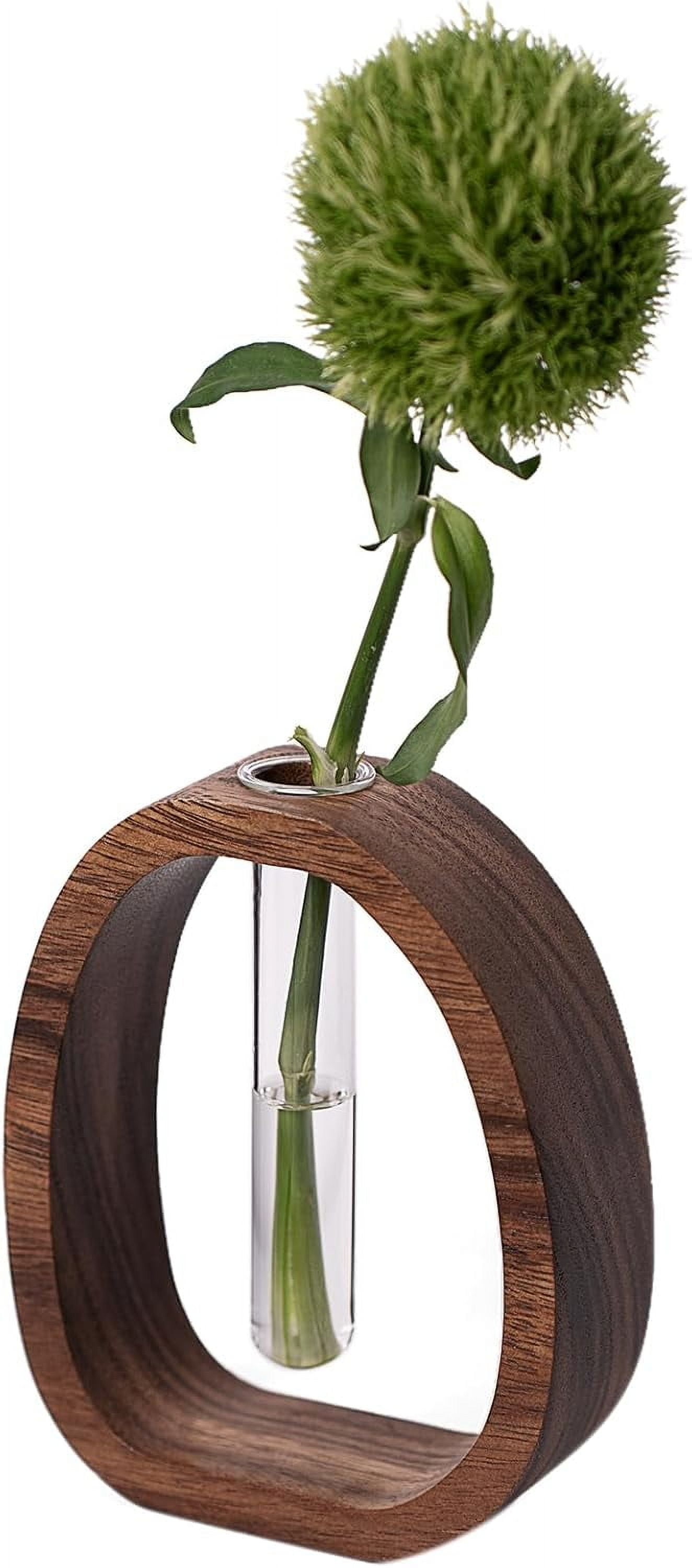 Solid Wood Frame Glass Test Tube Vase Desk Hydroponic Plant, Enhances ...