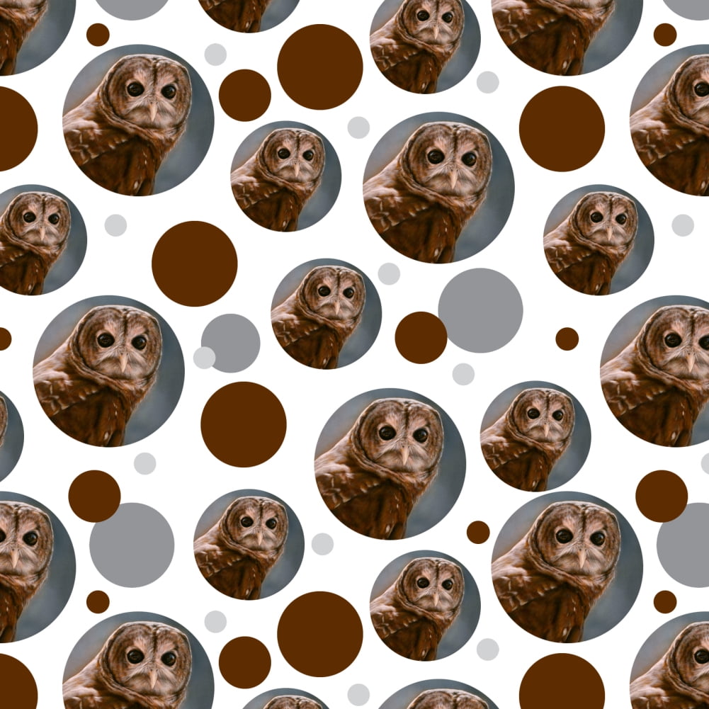 Solitary Barred Owl Premium Gift Wrap Wrapping Paper Roll - Walmart.com