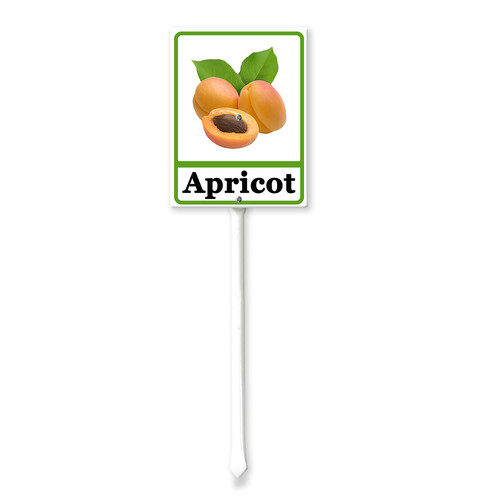 Soliyoahee Apricot Fruit Yard Sign with Stake 8x12inch Rustproof ...