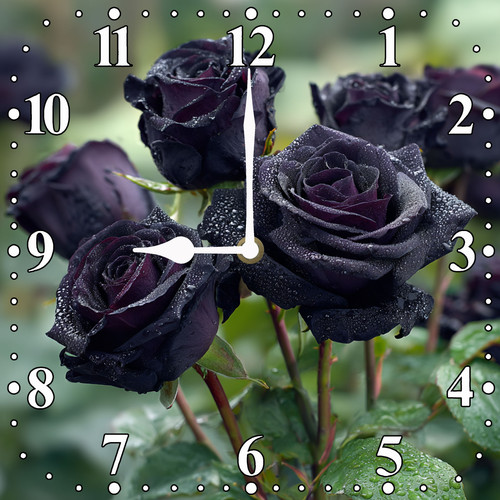 Soliyoahee Black Rose Clock 10inch Wooden Square Wall Clock Living Room ...