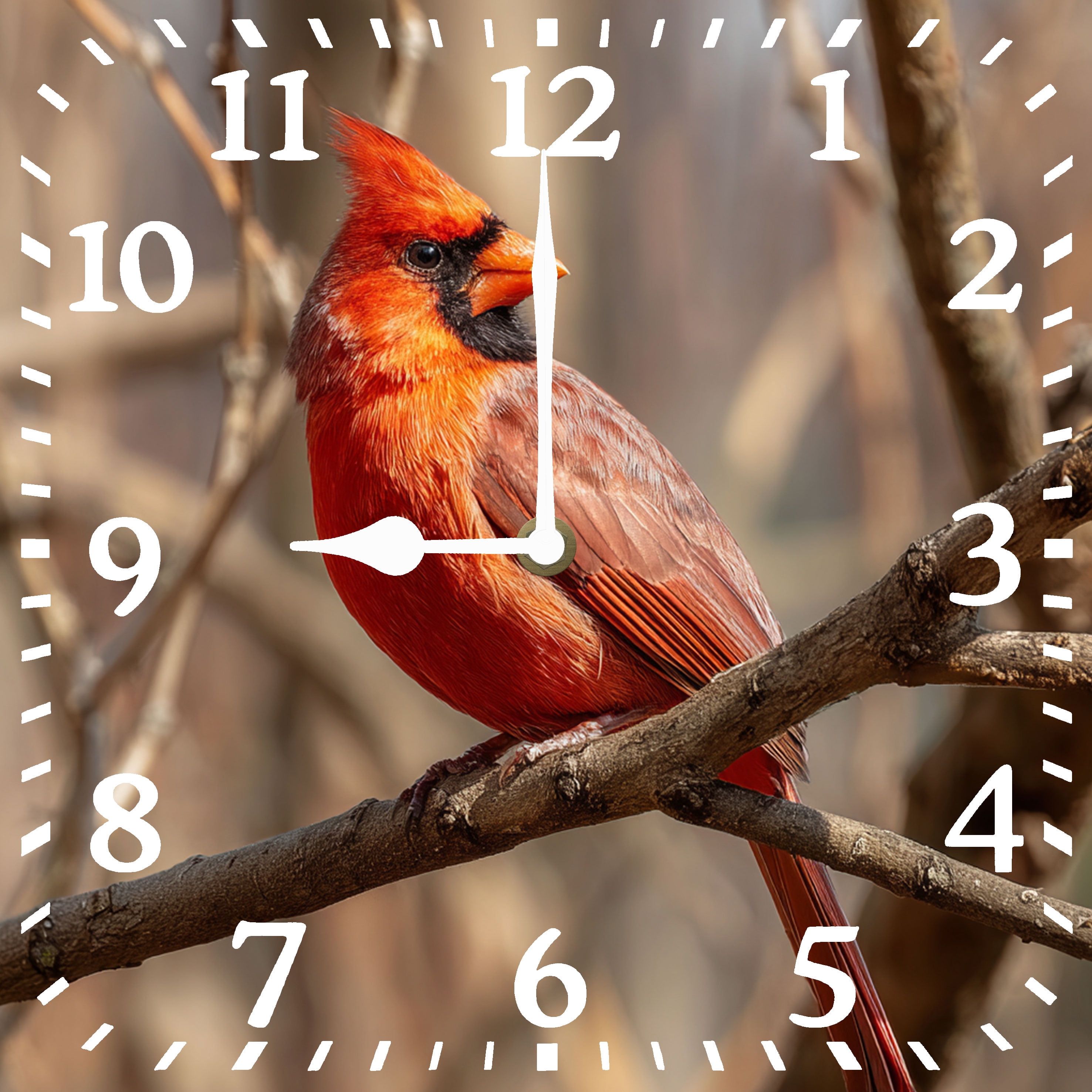 Soliyoahee Cardinal Wall Clock 10inch Wooden Square Clock Living Room ...