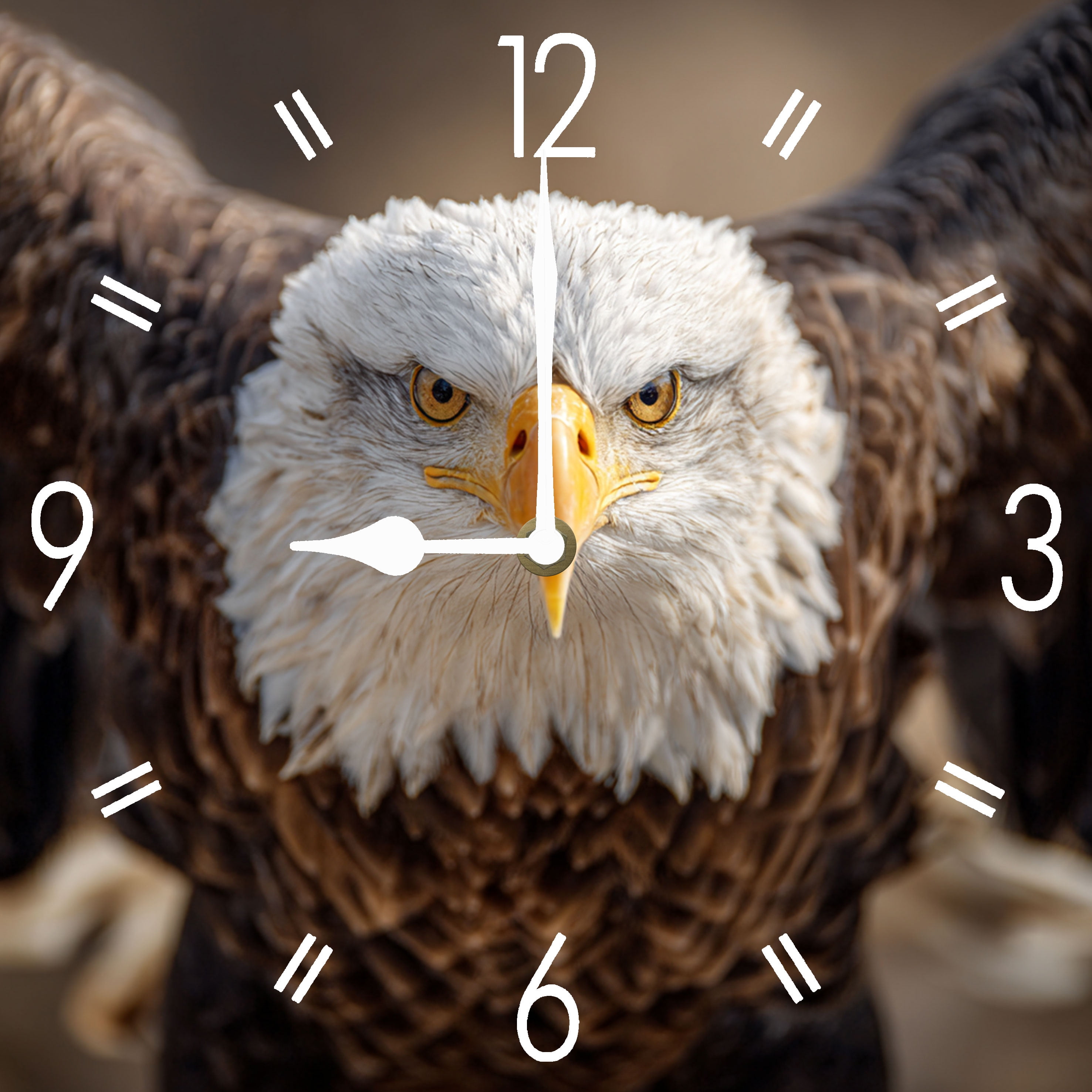 Soliyoahee Eagle Wall Clock 10inch Wooden Square Clock Home Decoration Silent Non-tick Battery ...