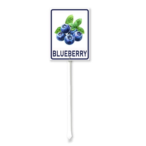 Soliyoahee Fresh Blueberries Yard Sign with Stake 7x8.8inch Rustproof ...