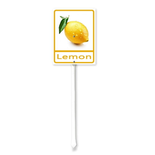 Soliyoahee Fresh Fruit Lemon Yard Sign with Stake 8x12inch Rustproof ...
