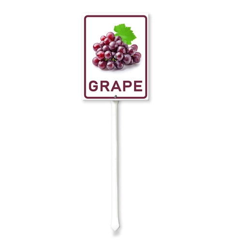 Soliyoahee Fresh Grapes Yard Sign with Stake 4.6x6inch Rustproof ...