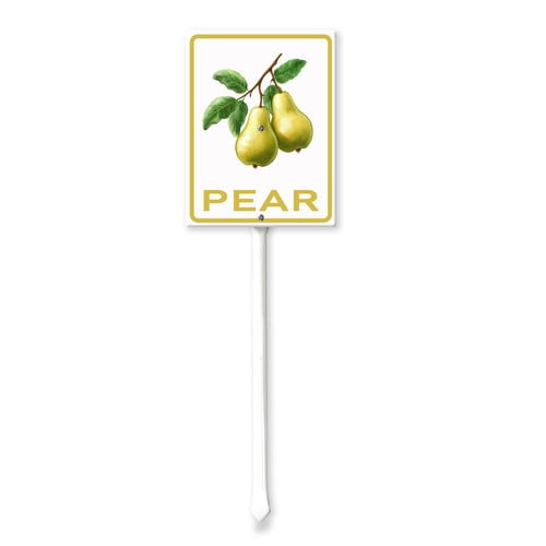 Soliyoahee Fresh Pears Yard Sign with Stake 7x8.8inch Rustproof ...