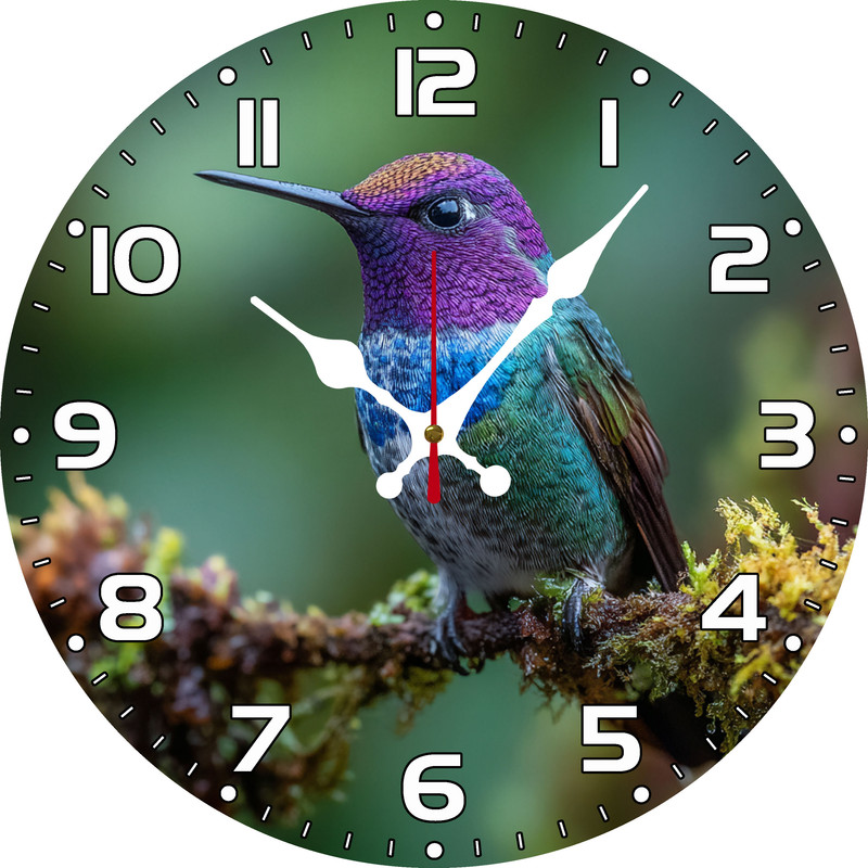 Soliyoahee Hummingbird Wall Clock 10inch Wooden Round Modern Art Clock ...