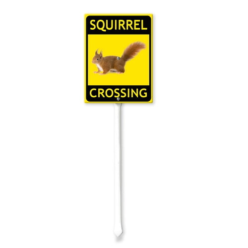 Soliyoahee Squirrel Crossing Yard Sign with Stake 8x12inch Rustproof ...