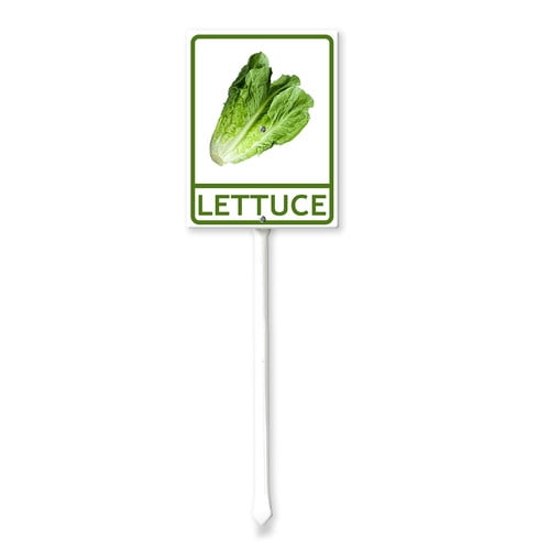 Soliyoahee Stake Crop Signs 8x12inch Lettuce Yard Signs Farm Labels ...