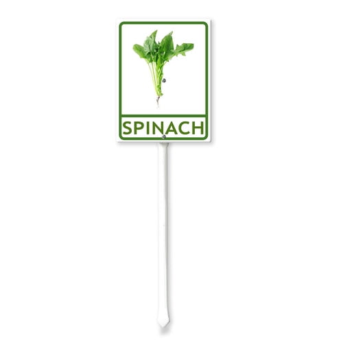 Soliyoahee Stake Crop Signs 8x12inch Spinach Yard Signs Farm Labels ...
