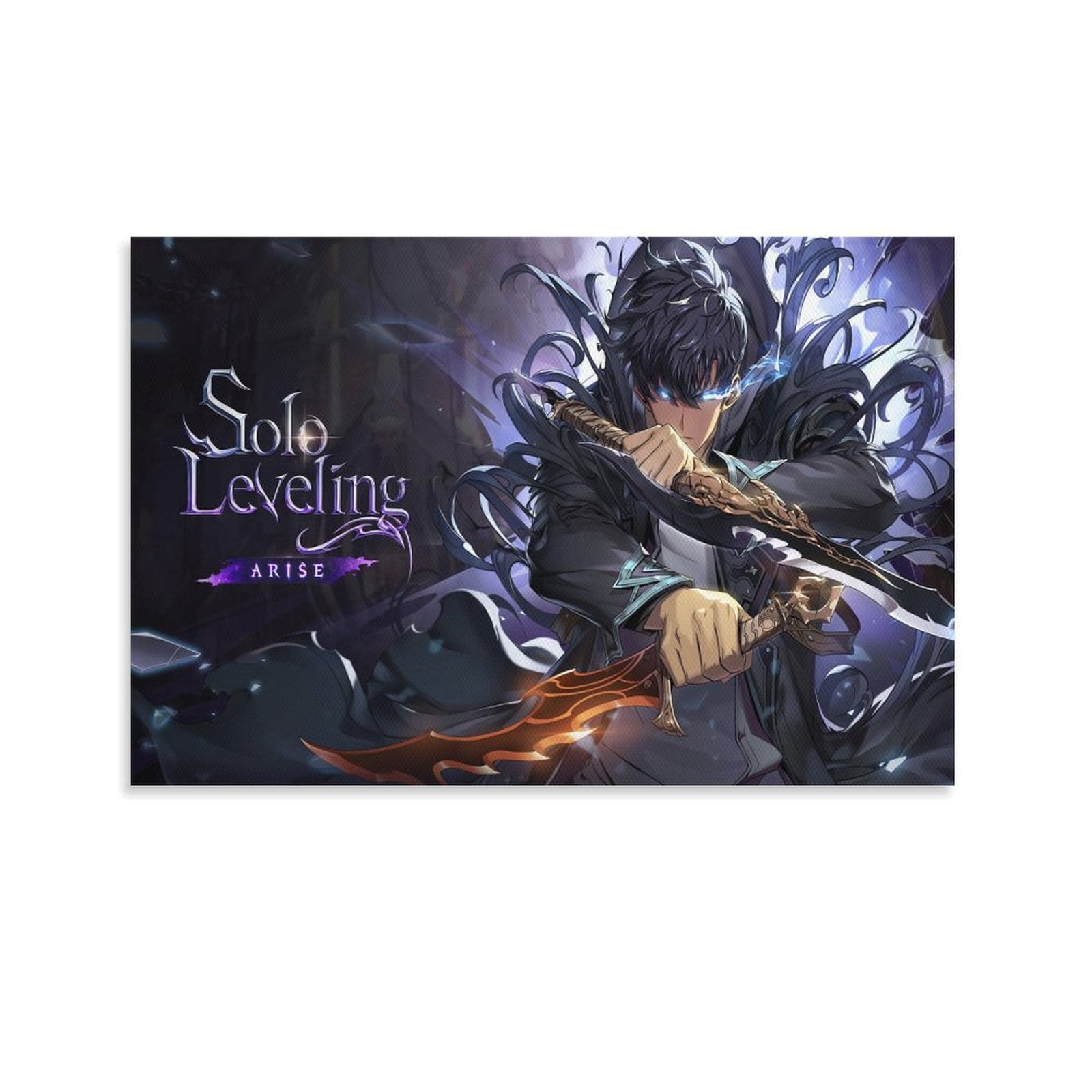 Solo Leveling Sung Jin Woo Anime Poster (30) Wall Art Poster Gifts ...
