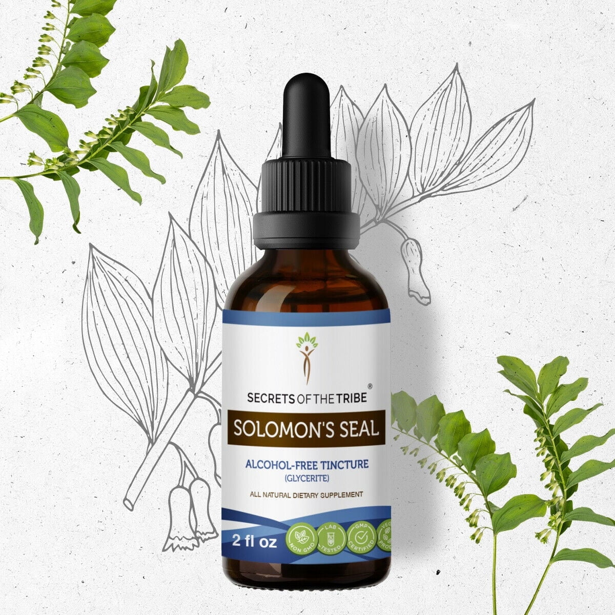 Secrets Of The Tribe Solomon's Seal Tincture, Wildcrafted, 2 oz ...