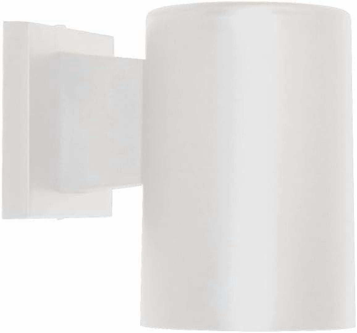 Solus Cylinder Downlight Outdoor Wall Mount Light Fixture with Turtle ...